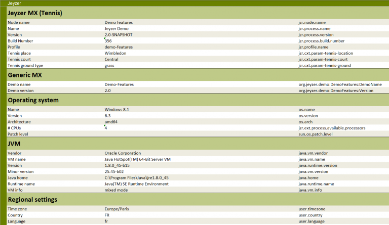Process Card | Jeyzer