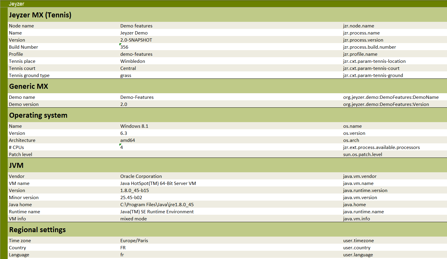 Process Card | Jeyzer